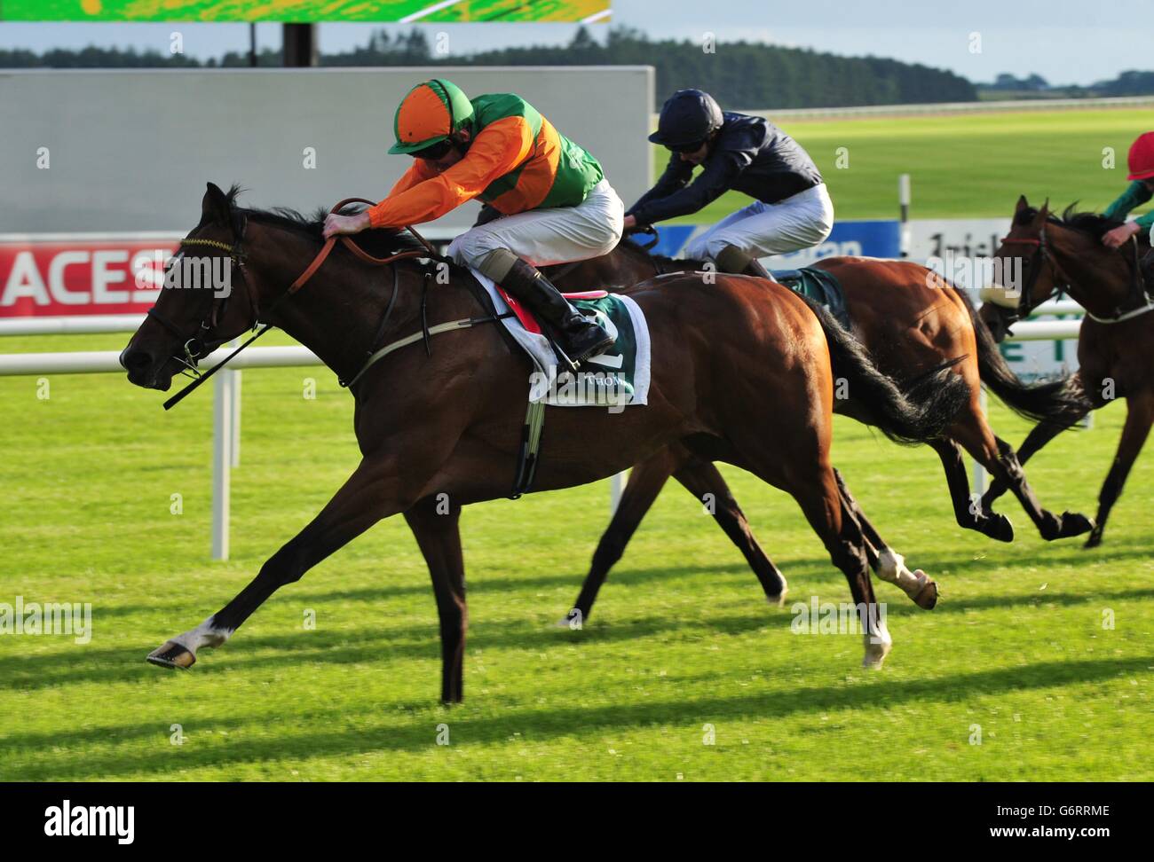 Qatari hunter ridden hi-res stock photography and images - Alamy