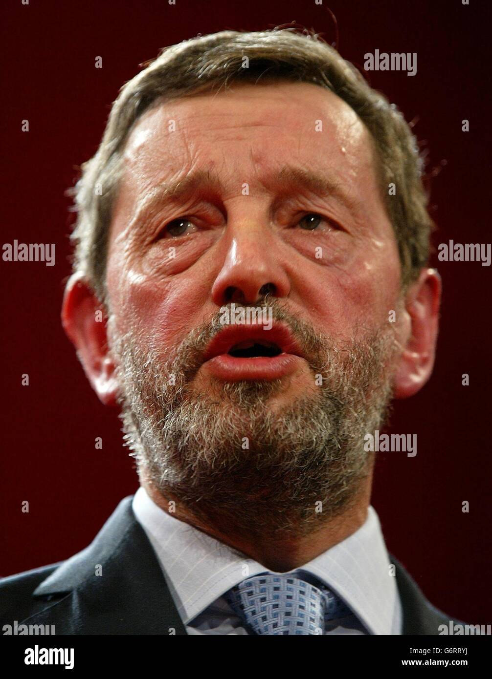 Politics speaking head head shot david blunkett hi-res stock ...