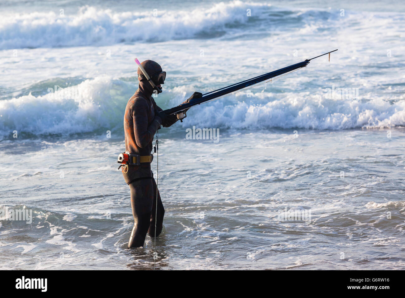 Diver unidentified with spear fishing gun on beach enters ocean waves ...