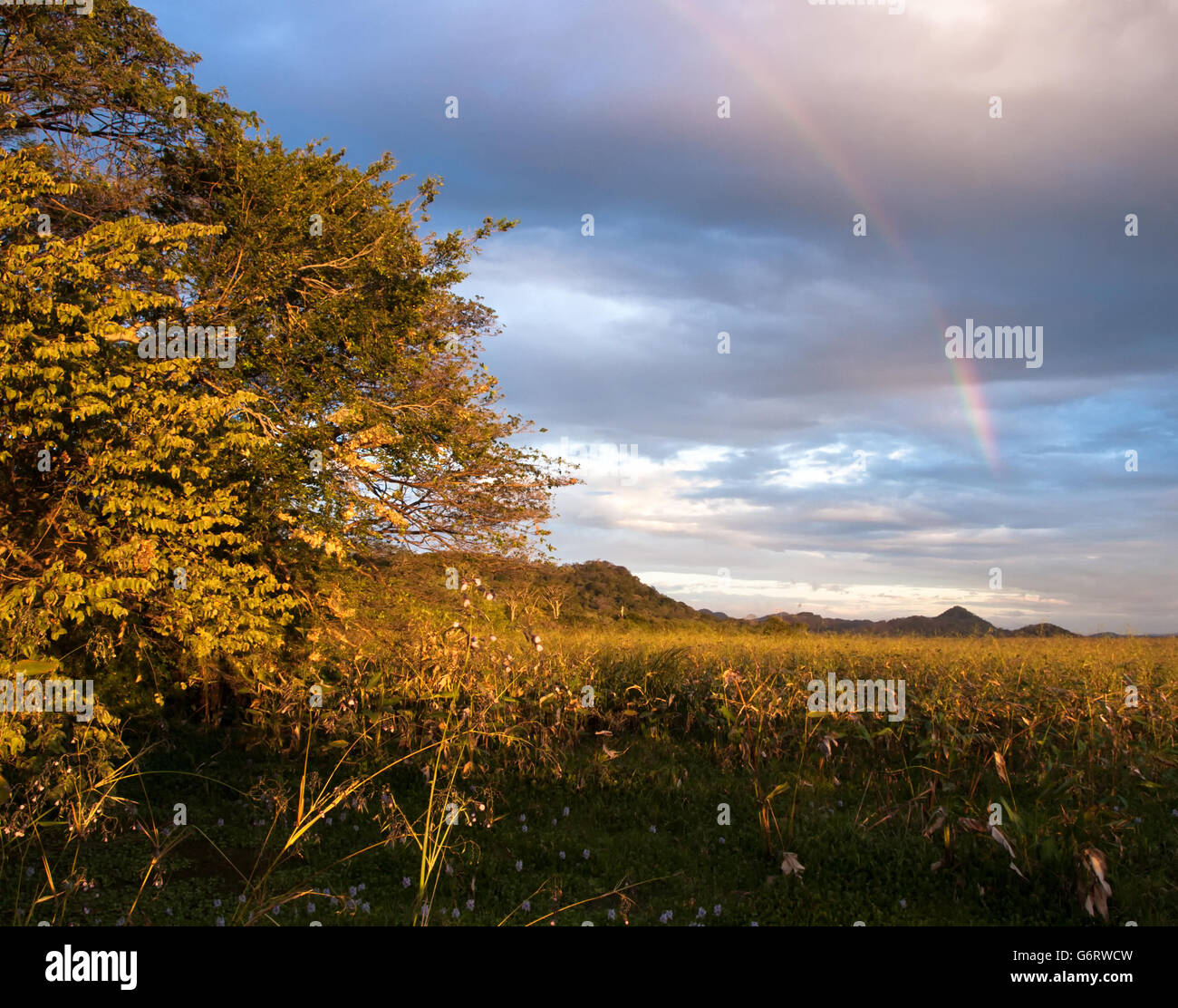 Rainbow over Palo Verde National Park in Costa Rica Stock Photo - Alamy