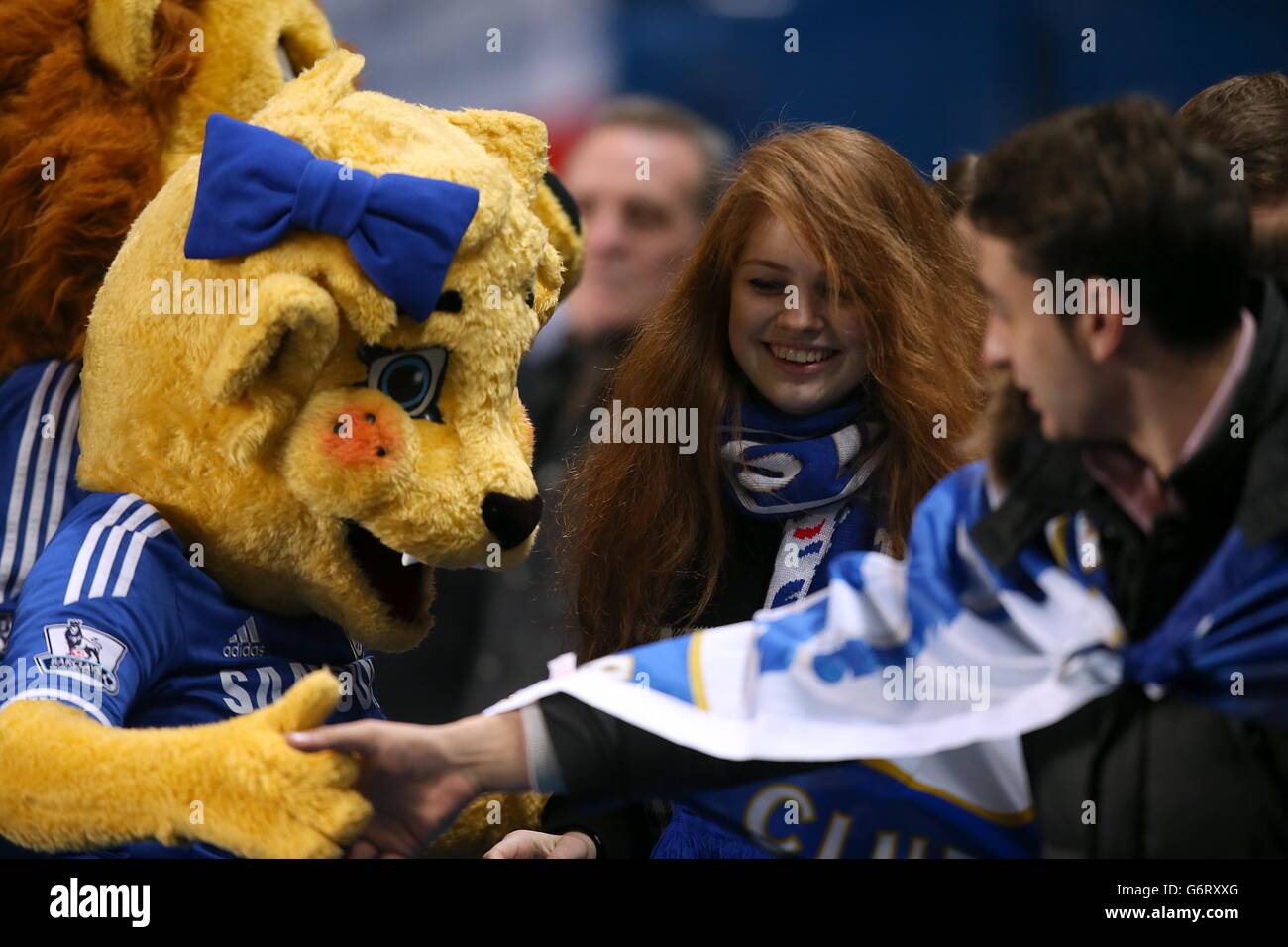 Bridget the lioness hi-res stock photography and images - Alamy
