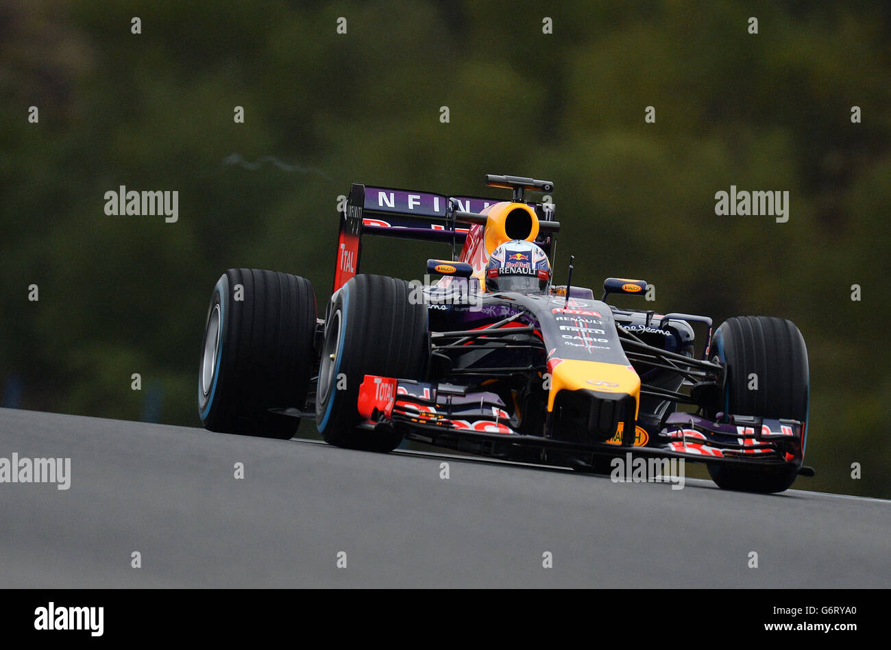 Red Bull Racing driver Daniel Ricciardo, during the 2014 Formula One ...