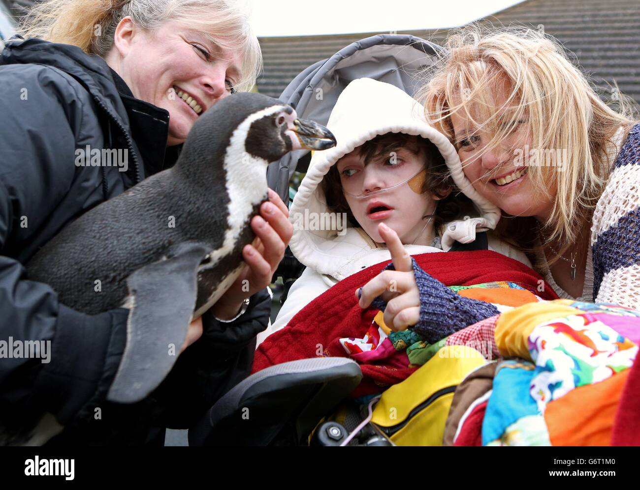 Logan Matthews,10, meets a penguin at Keech House Hospice in Luton with ...