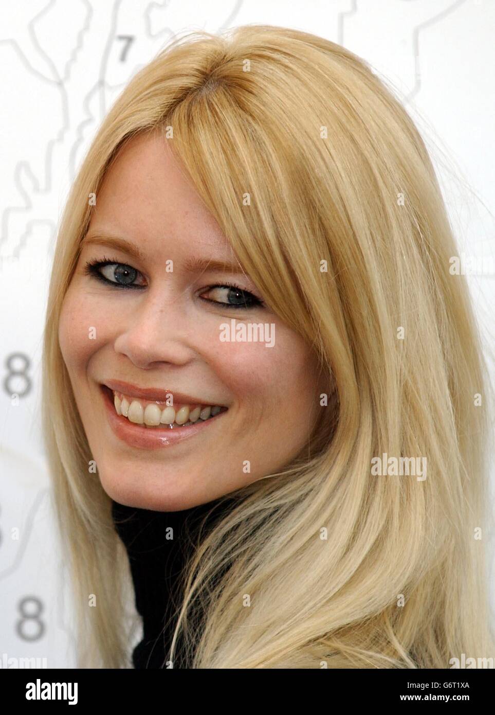 Celebrity art smiling blonde head head shot claudia schiffer hi-res ...