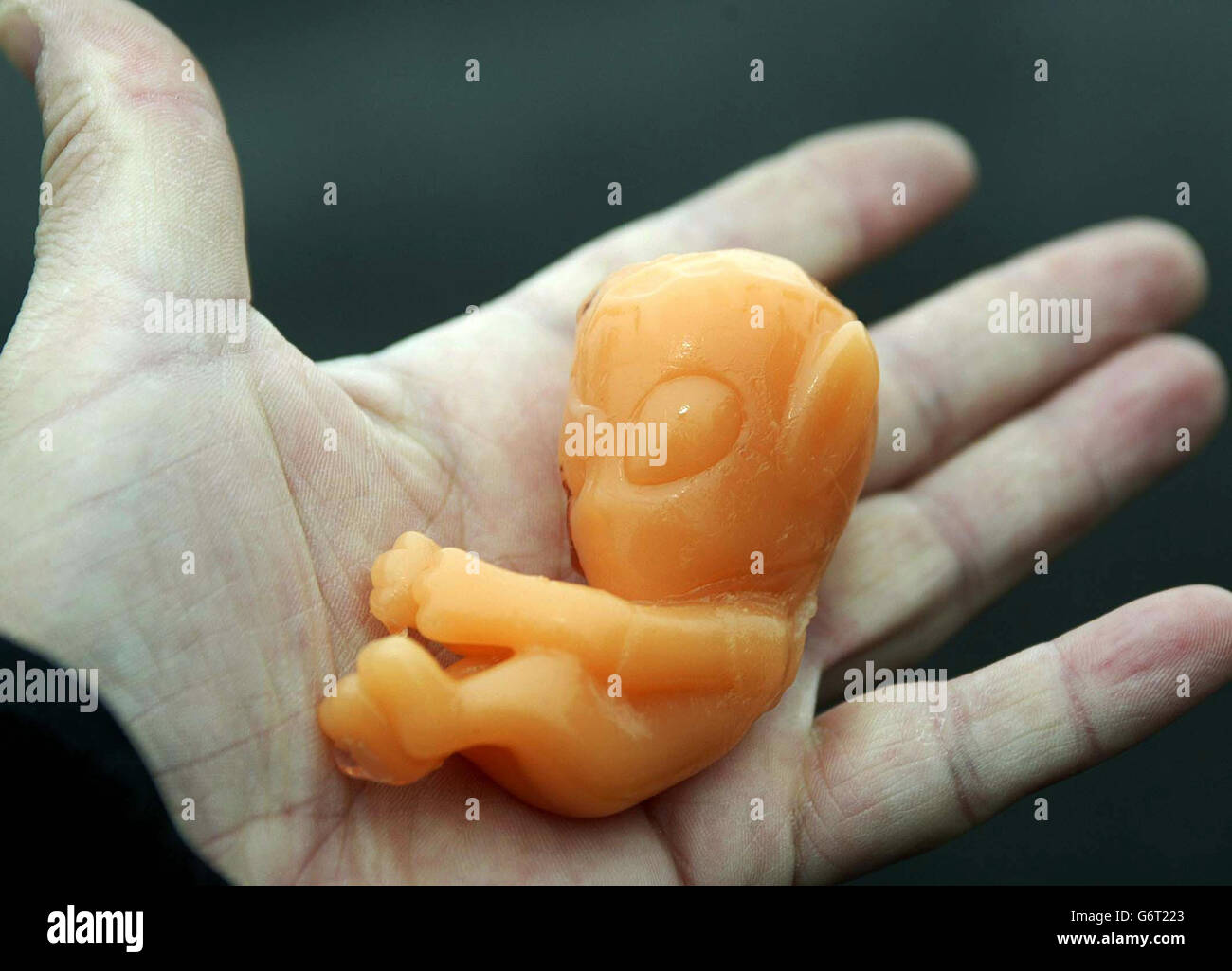 POLICE Toy Scardox Alien foetus Stock Photo - Alamy