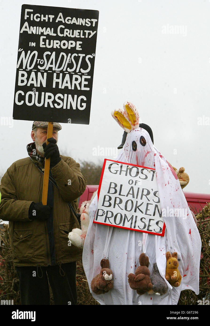Anti-hunt protesters demonstrate during the 157th Waterloo Cup on the ...