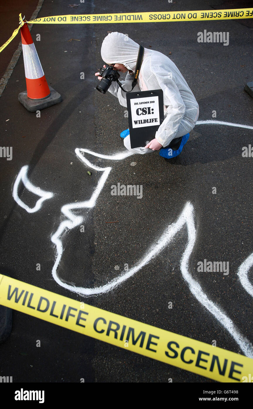 Crime scene investigators at London Zoo Stock Photo - Alamy