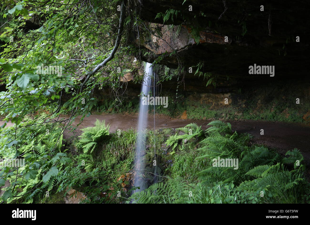 Scotland den hi-res stock photography and images - Alamy