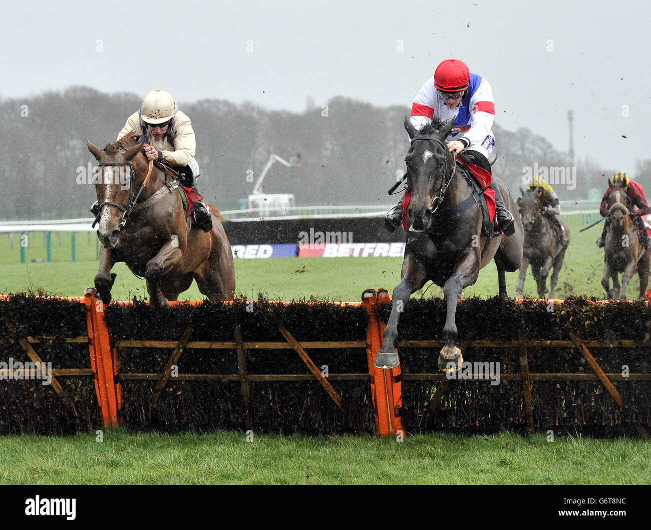 Victor ludorum horse hi-res stock photography and images - Alamy