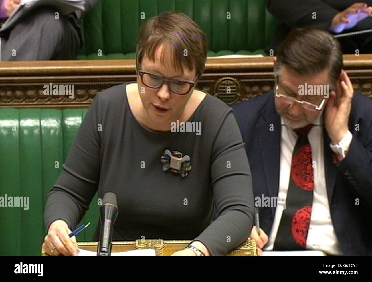 Shadow Secretary of State for Environment, Food and Rural Affairs Maria ...