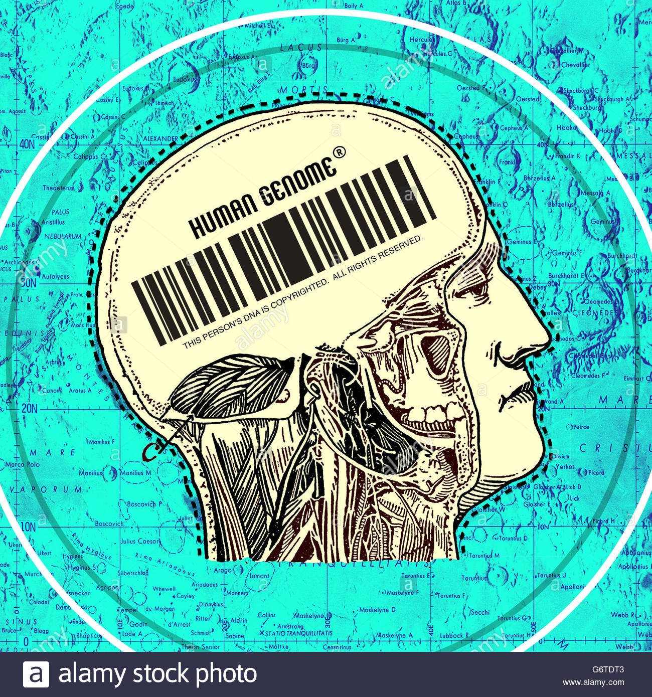Genes Brain High Resolution Stock Photography and Images - Alamy