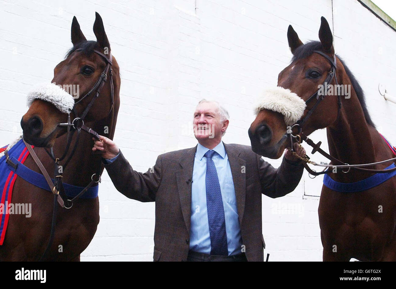 Martin pipe contenders hi-res stock photography and images - Alamy