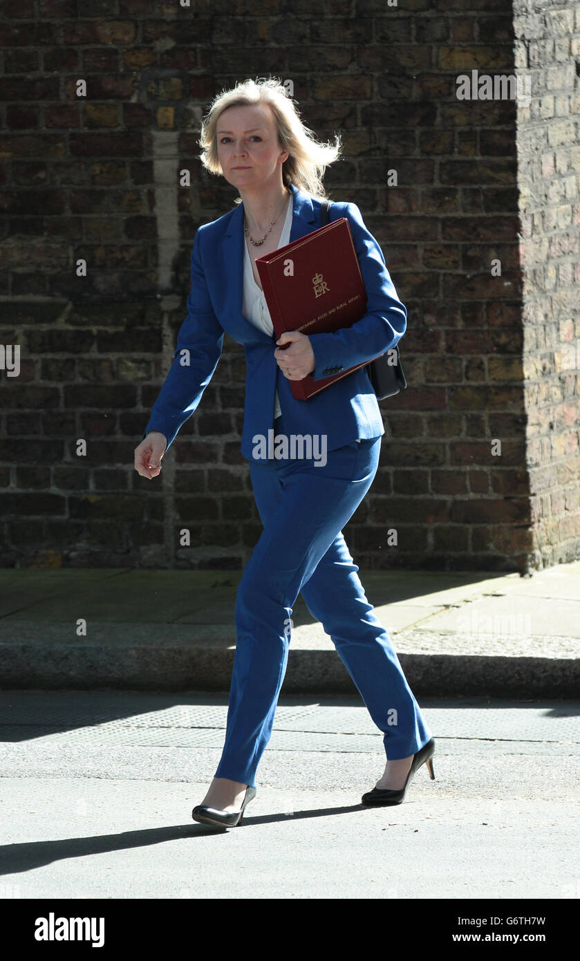 LONDON - MAY 3, 2016: Liz Truss seen in Downing Street in London Stock ...