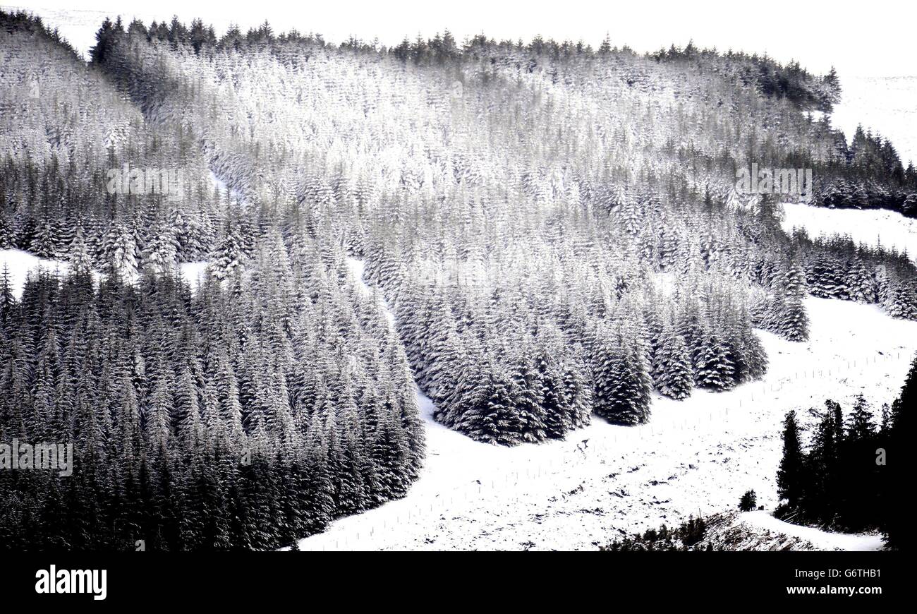 Weather - Winter Snowfall - Kielder, Northumberland. Snow covers the ...