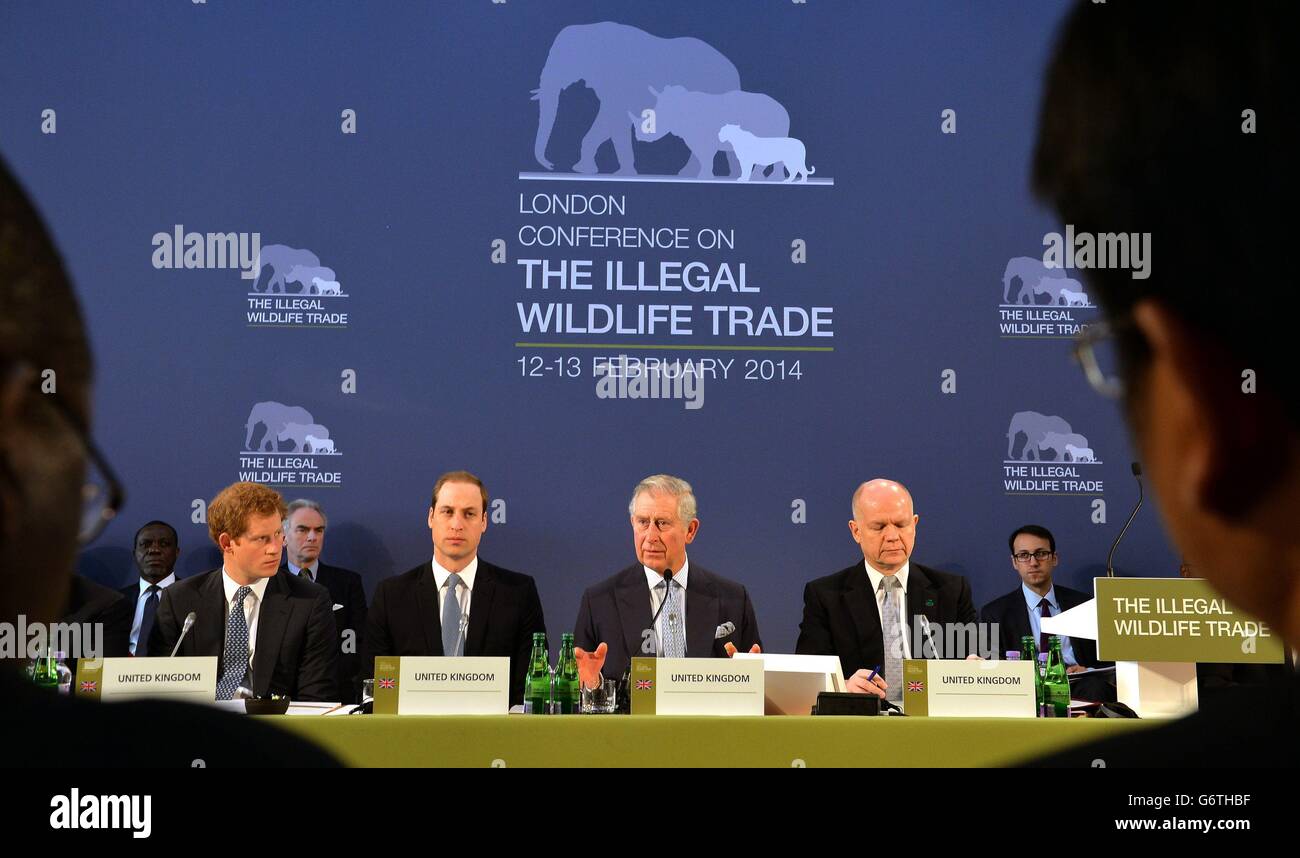 Illegal Wildlife Trade Conference Stock Photo - Alamy