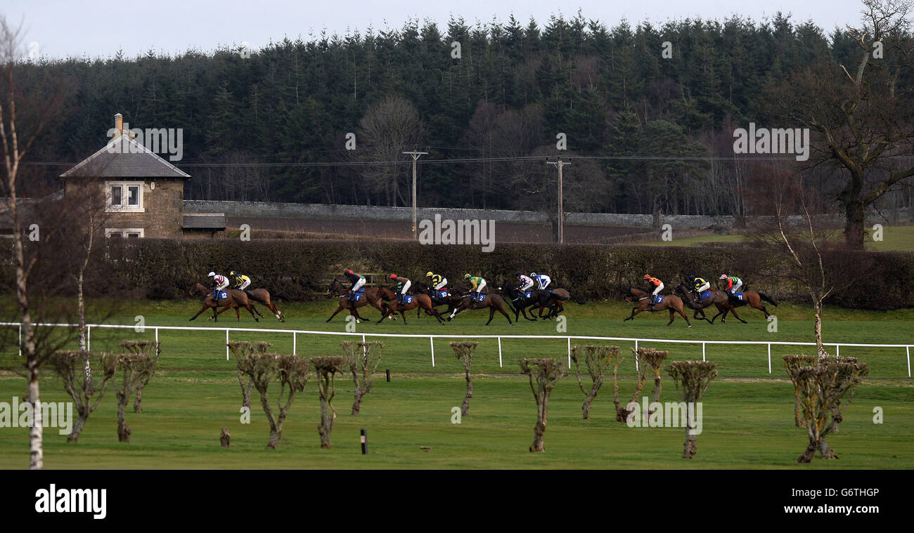 Kelso racecourse hi-res stock photography and images - Alamy