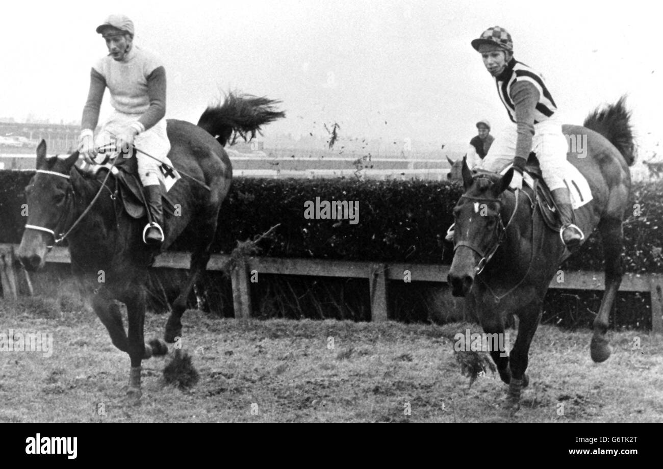 Matchboard (left), ridden by W. Rees, the winner, and King Cutler ...