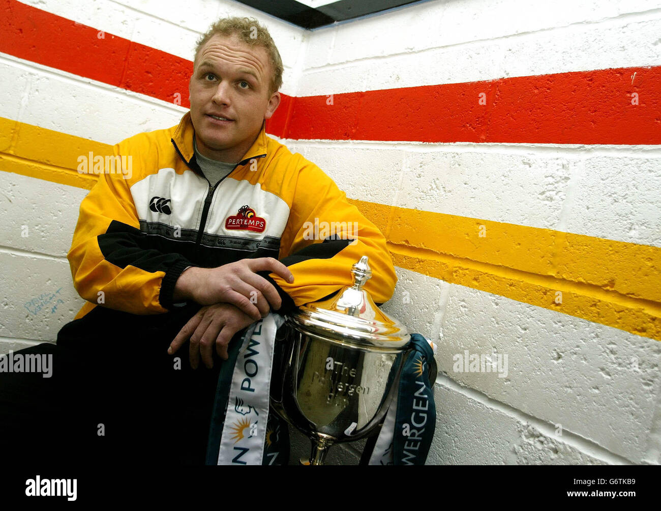 Pertemps bees hi-res stock photography and images - Alamy