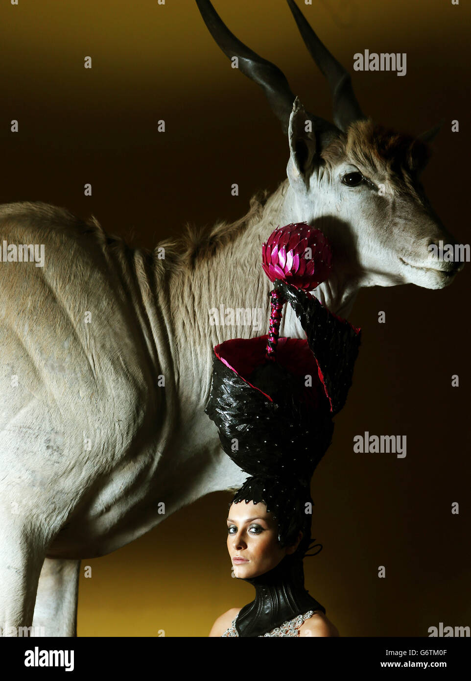 Carla jackson hi-res stock photography and images - Alamy