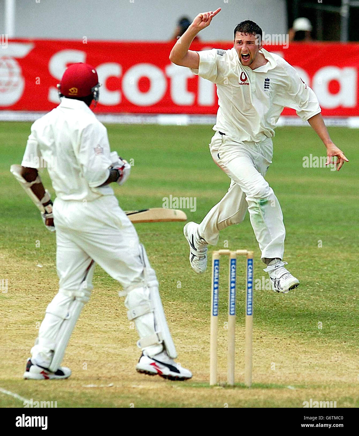 England bowler Stephen Harmison celebrates his fifth wicket, during the ...