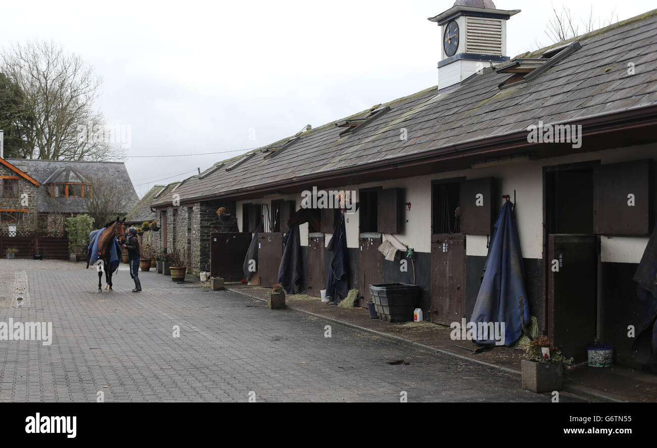 Horse Racing - Willie Mullins Stable Visit - Bagenalstown. A general ...