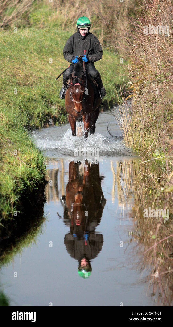 Hurricane Fly is cooled down after a gallop during the visit to Willie ...