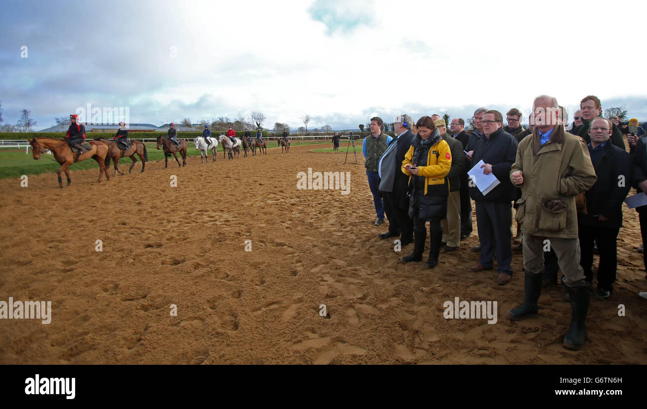 Visit willie mullins stables hi-res stock photography and images - Alamy