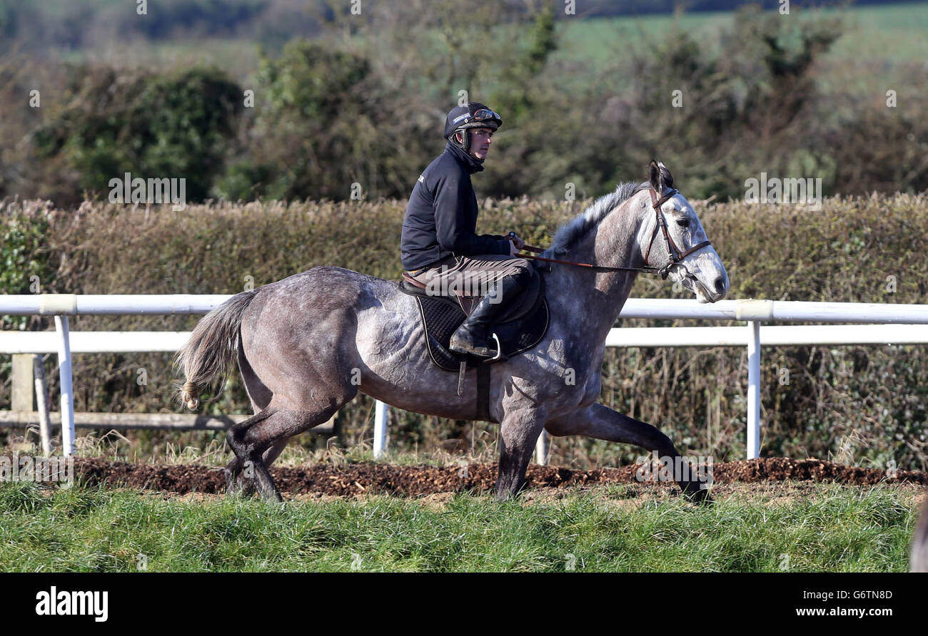 Horse racing willie mullins stable visit bagenalstown hi-res stock ...