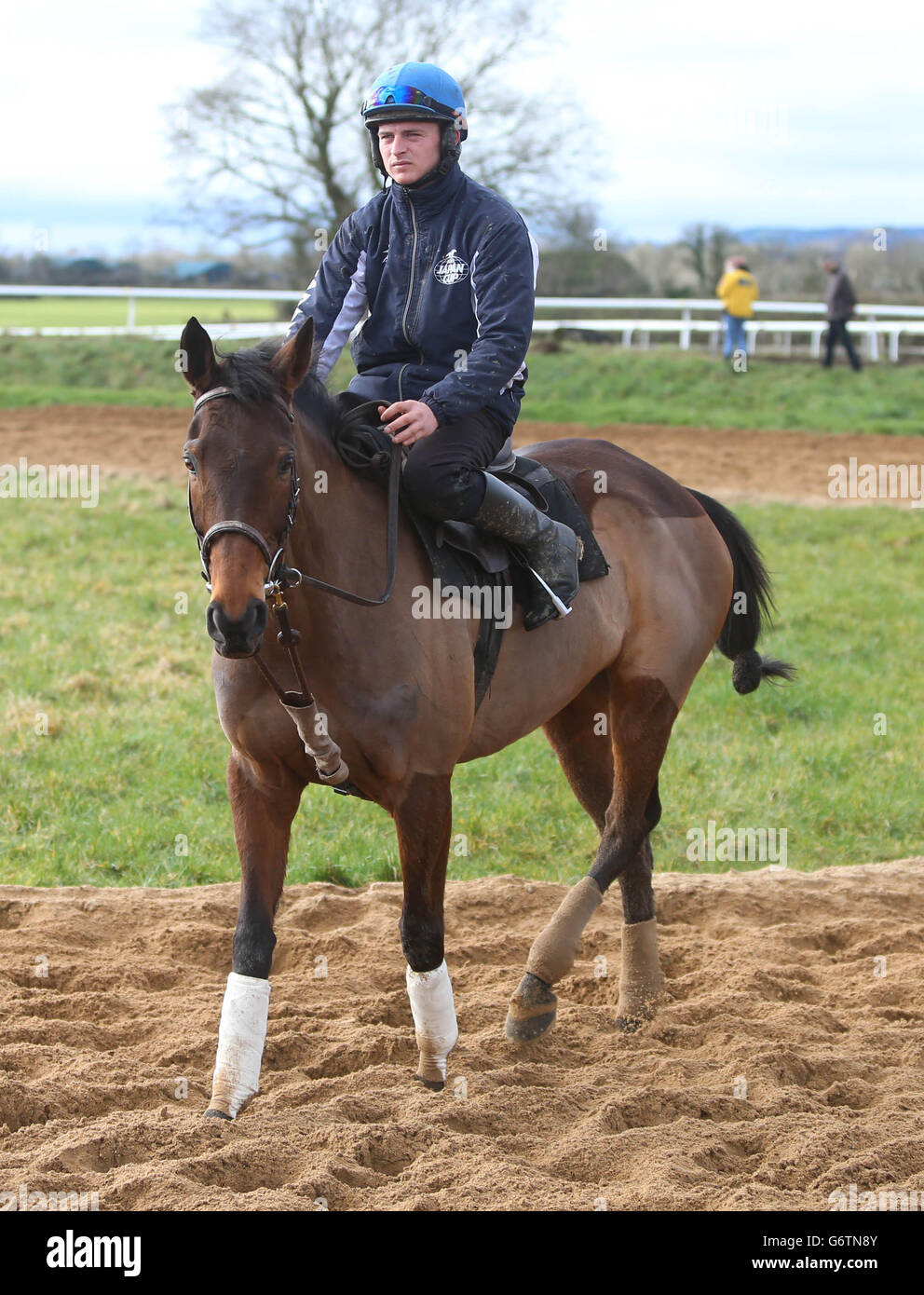 Horse racing willie mullins stable visit bagenalstown hi-res stock ...