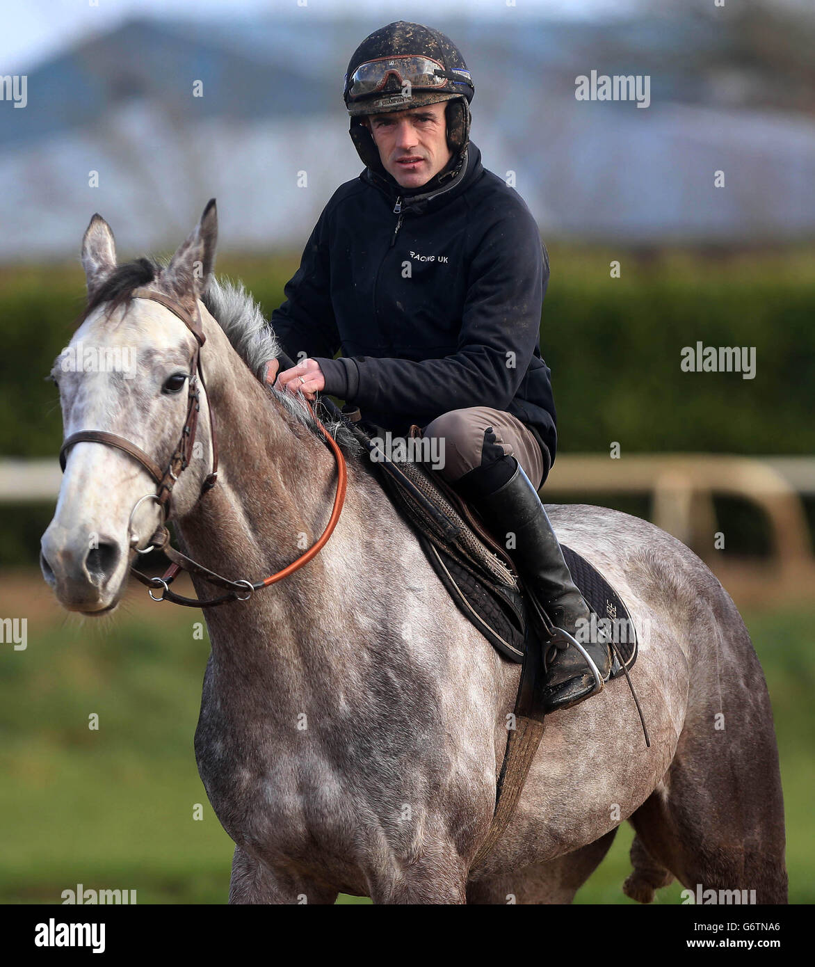 Horse racing willie mullins stable visit bagenalstown hi-res stock ...