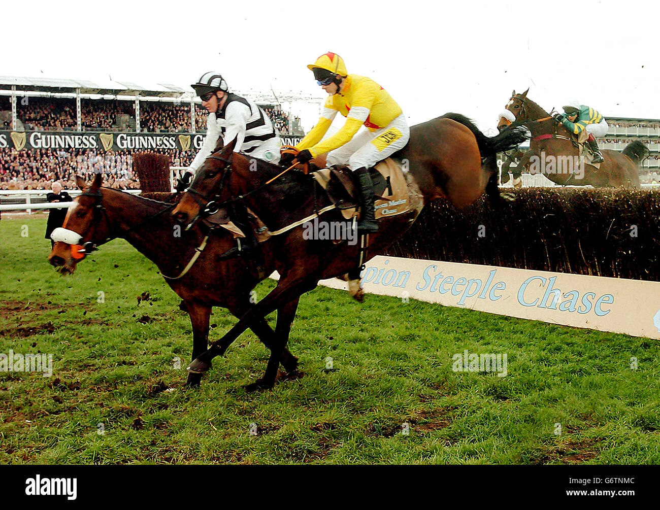 Cheltenham flyer hi-res stock photography and images - Alamy