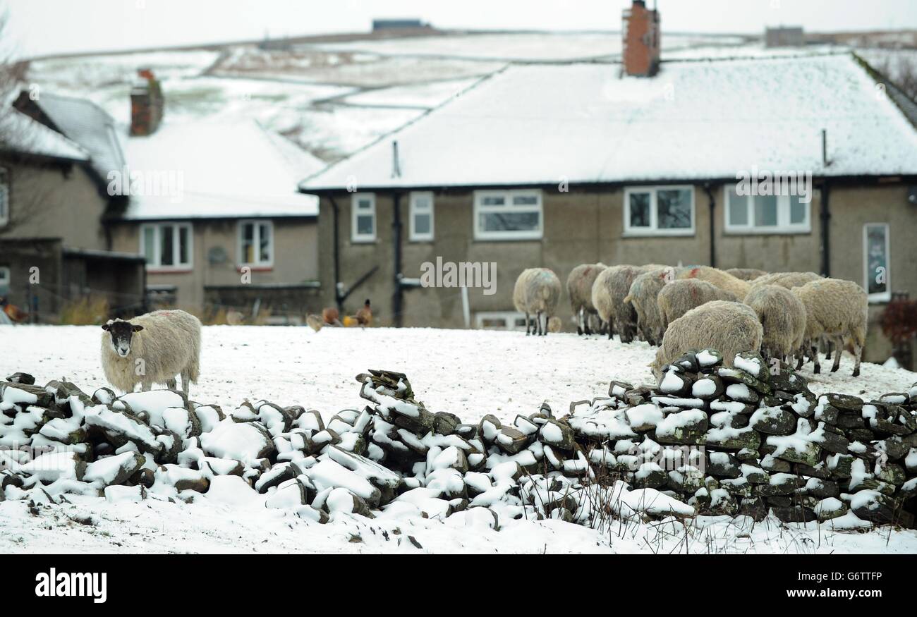 Winter weather Feb 11th Stock Photo - Alamy