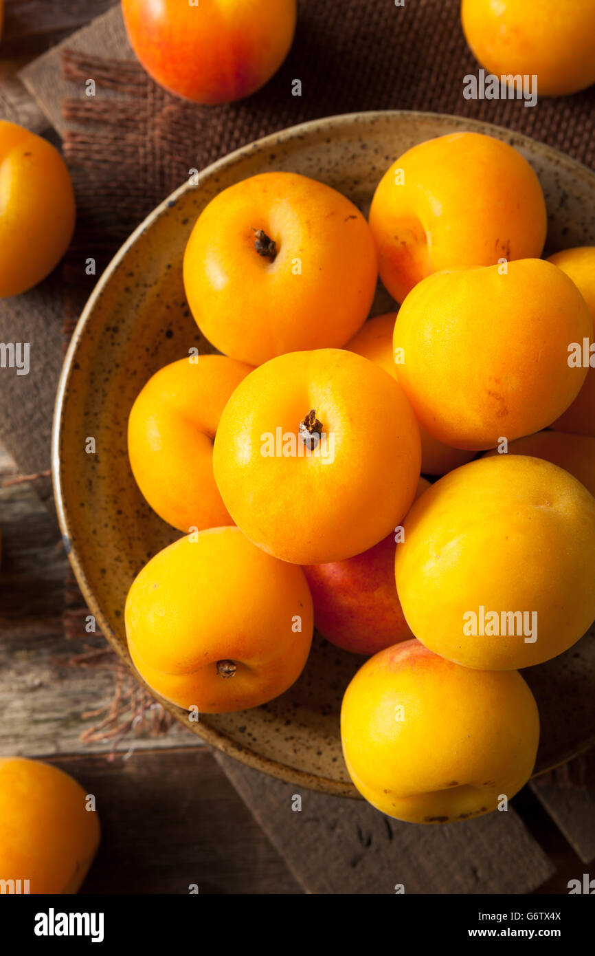 Plum yellow egg hi-res stock photography and images - Alamy
