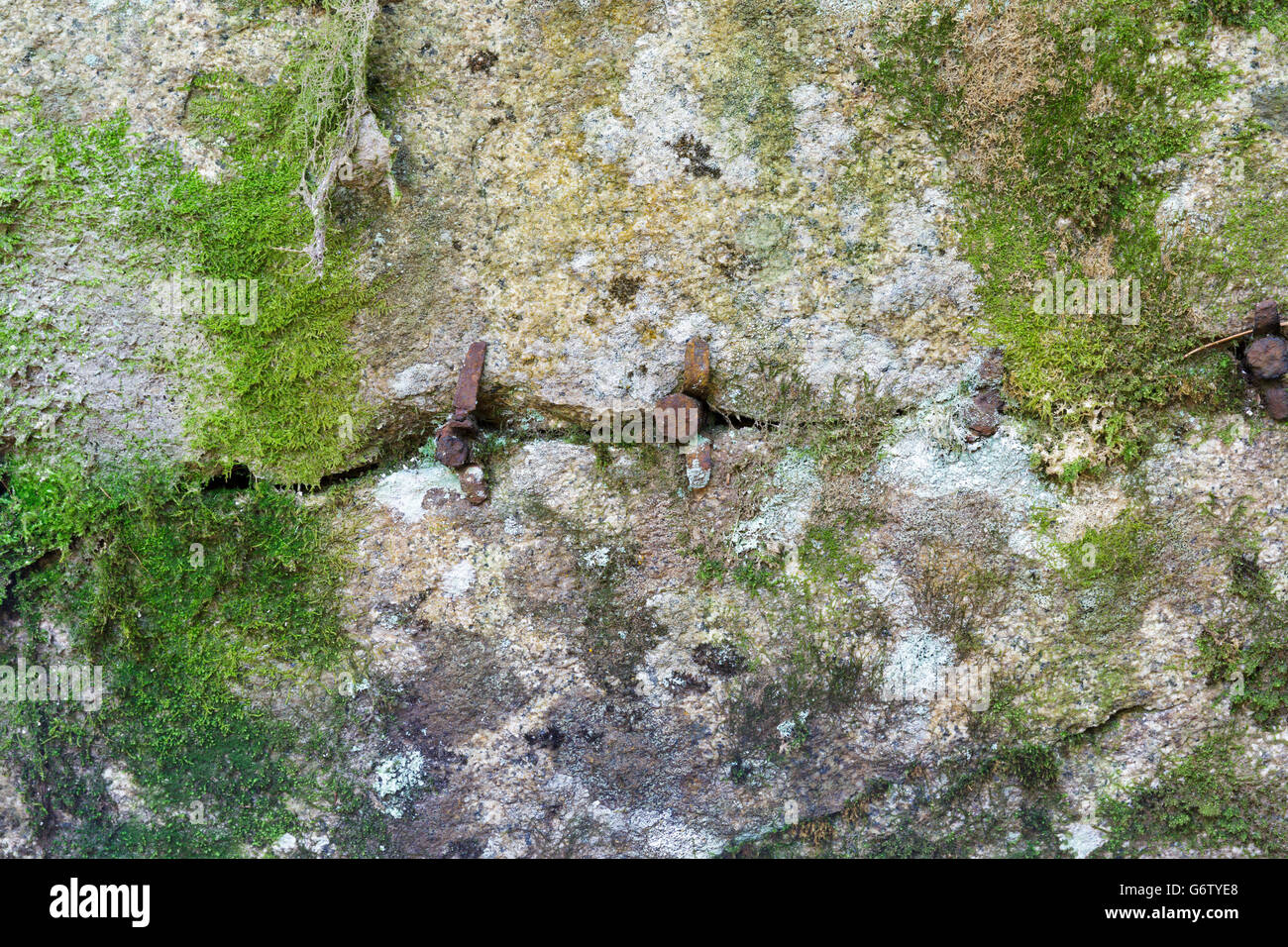 Plug and feathers hi-res stock photography and images - Alamy