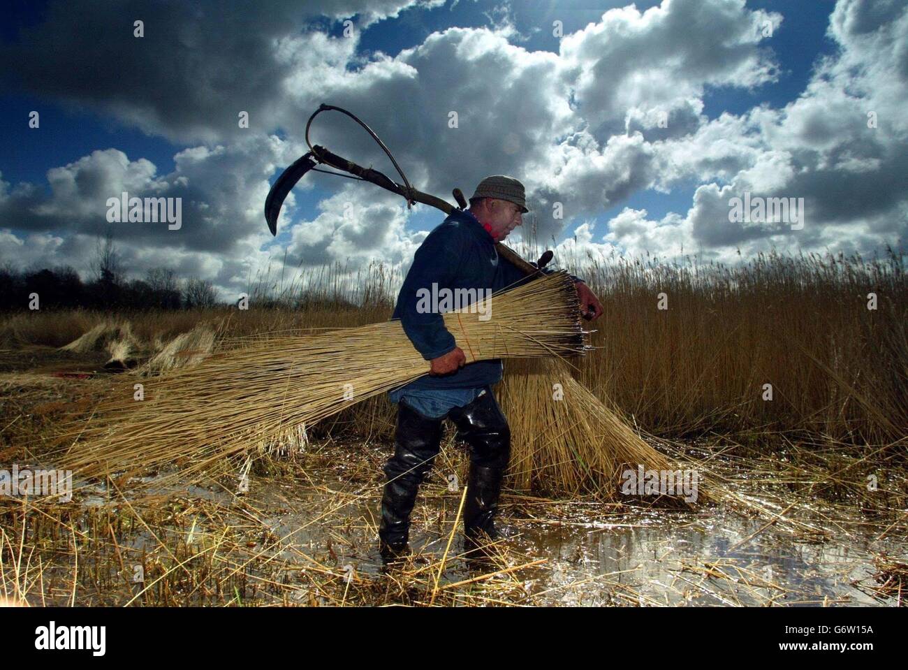 Arabalestck Stock Photos & Arabalestck Stock Images - Alamy