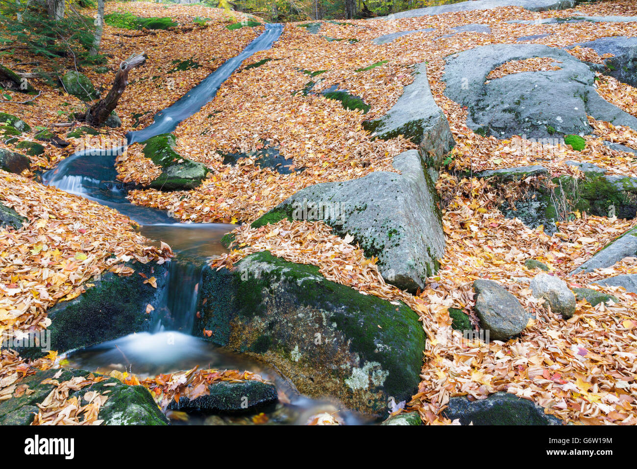 Clough Mine Brook, a tributary of Lost River, in Kinsman Notch of ...