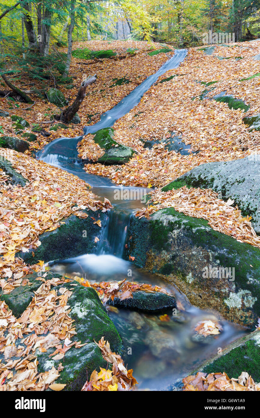 Water drop notch hi-res stock photography and images - Alamy