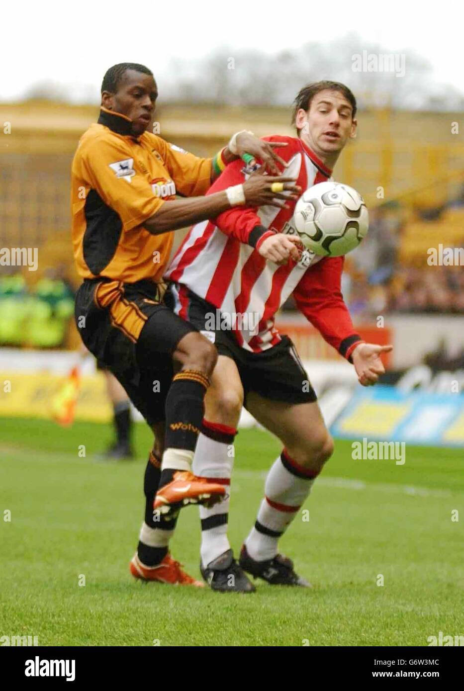 Wolves' Henri Camara (left) gets hold of Southampton's Rory Delap ...