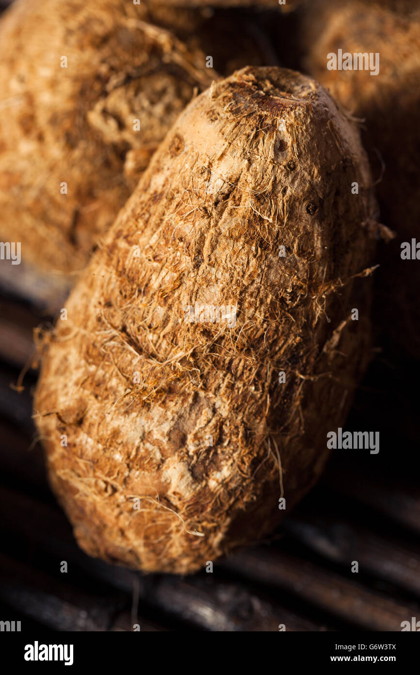 Eddoes hi-res stock photography and images - Alamy