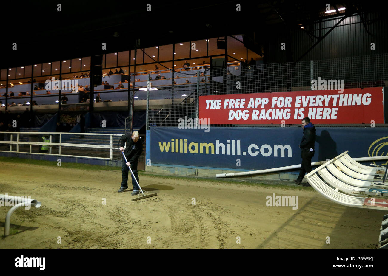 Greyhound Racing - Finals Night 2014 - Wimbledon Stadium Stock Photo ...