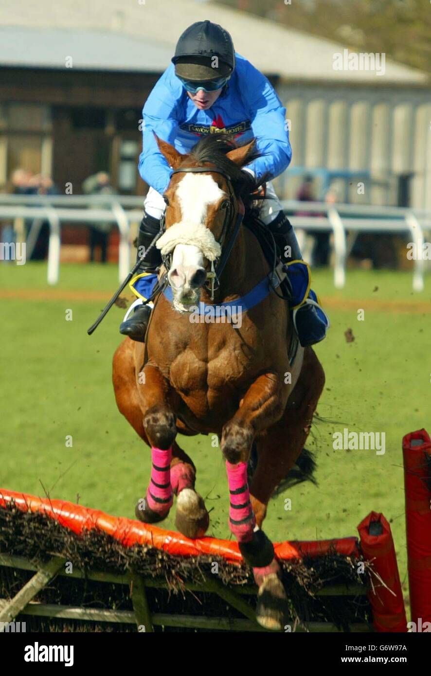 Robert Baker Selling handicap Hurdle. Protocol riden by David O'Meara ...