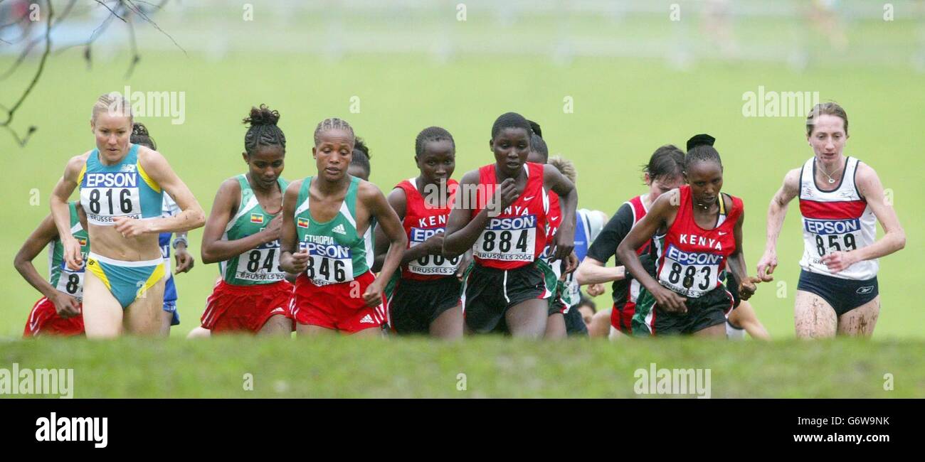 Athletics Cross country Stock Photo - Alamy