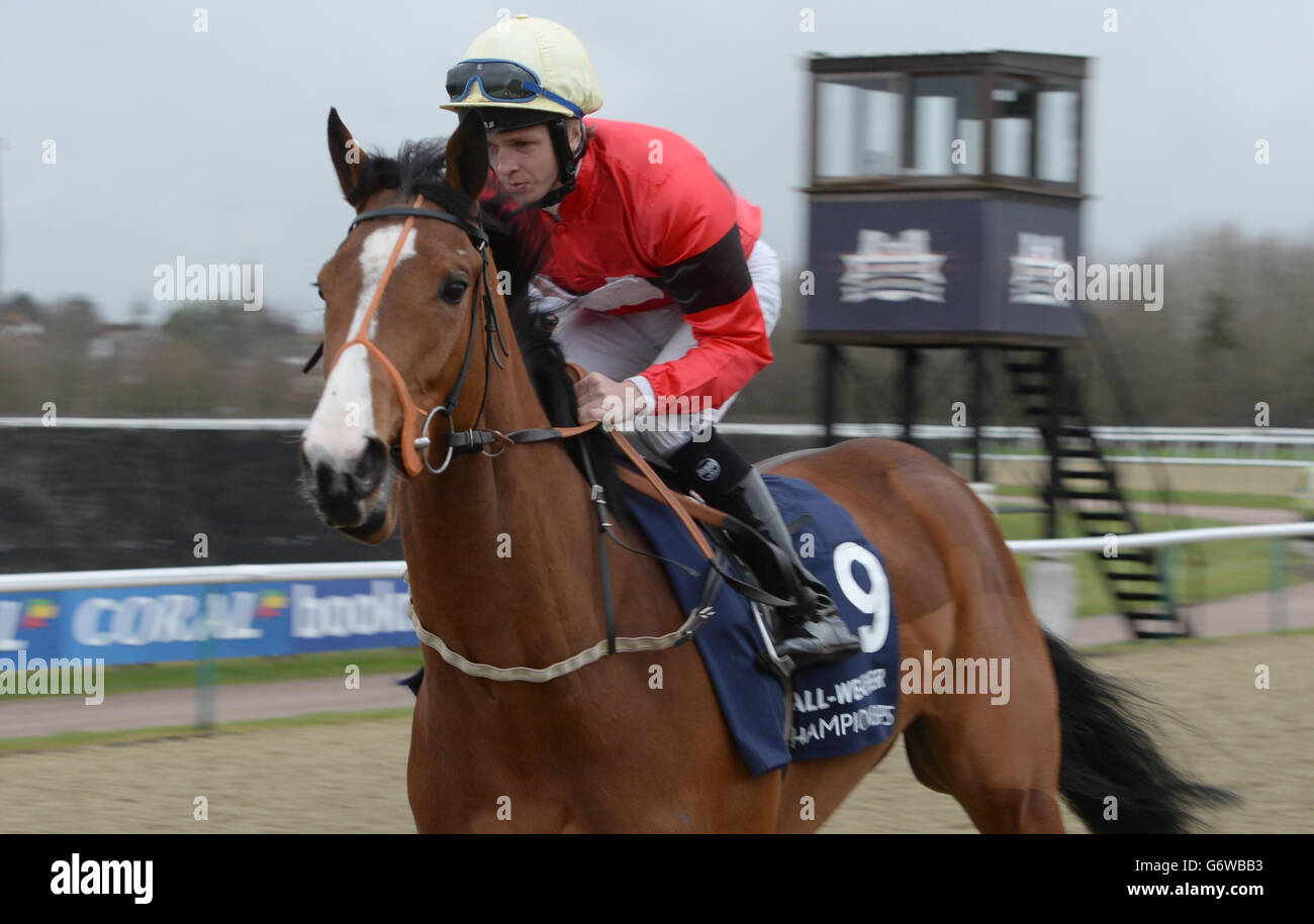 Jockey david probert going hi-res stock photography and images - Alamy