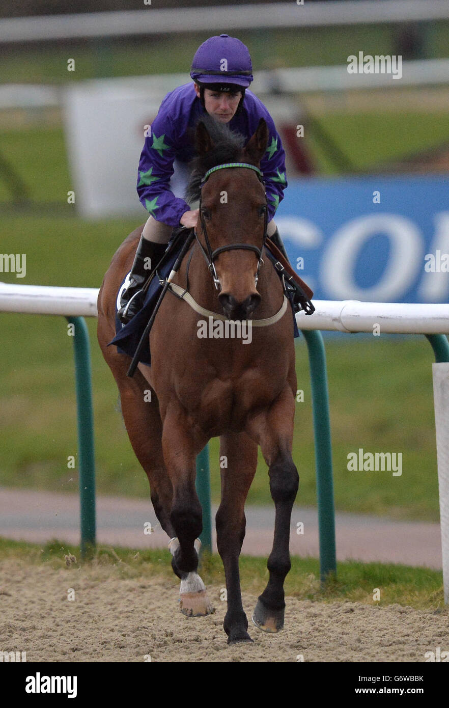 Horse Racing - Lingfield Racecourse Stock Photo - Alamy