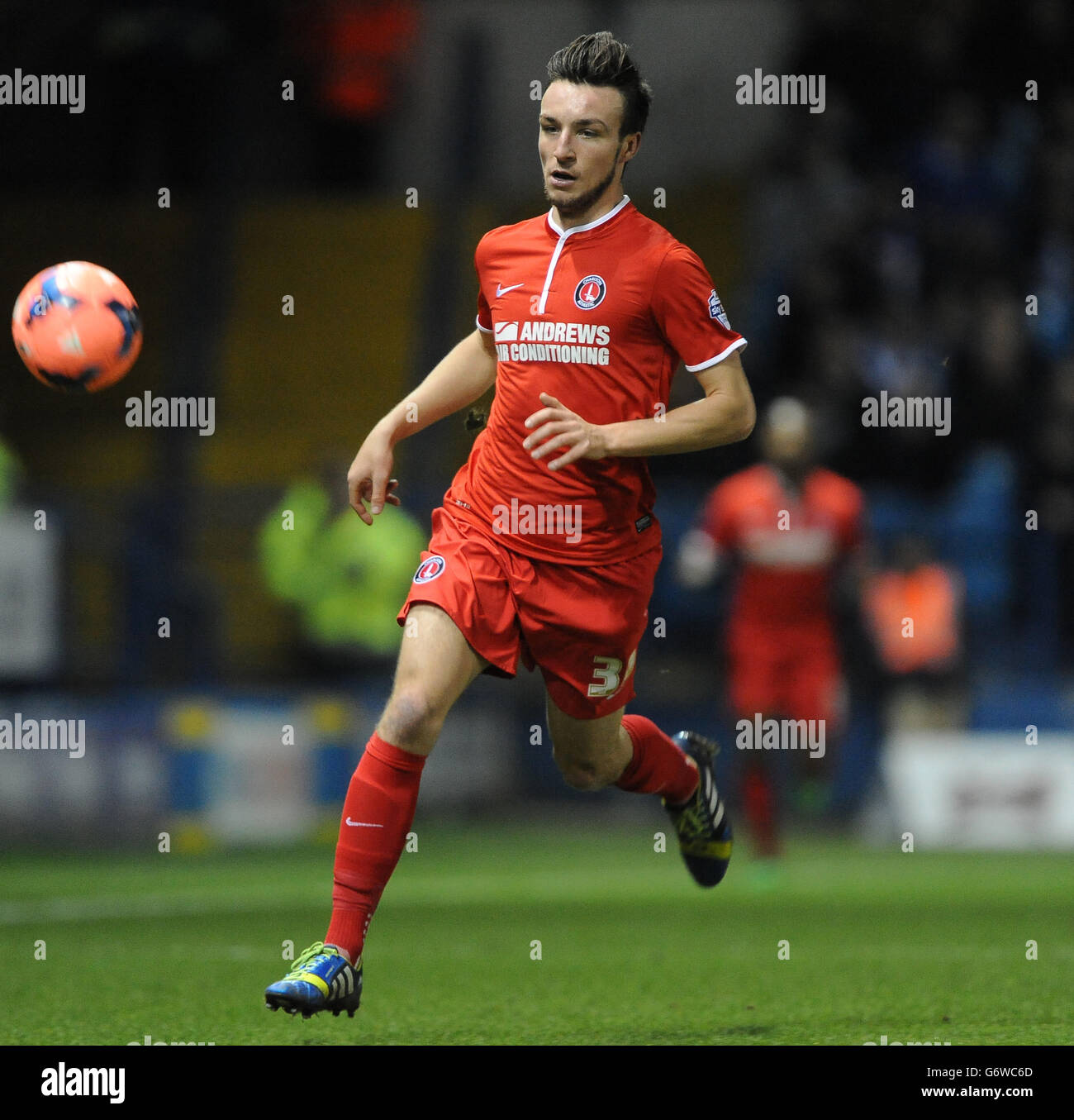 Sheffield fox hi-res stock photography and images - Alamy