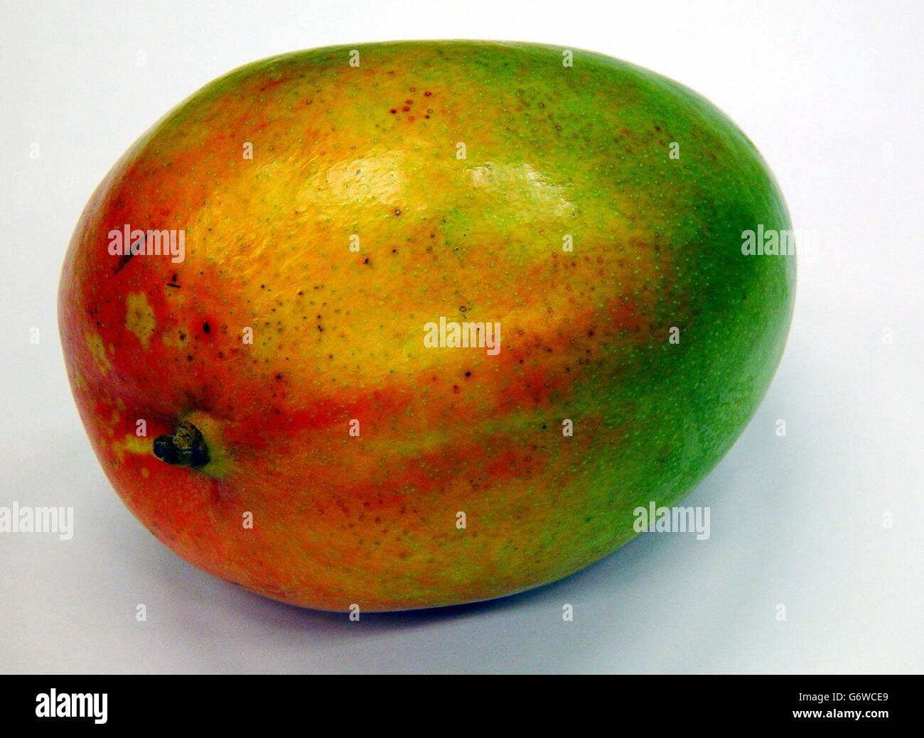 Giant Mango High Resolution Stock Photography and Images - Alamy