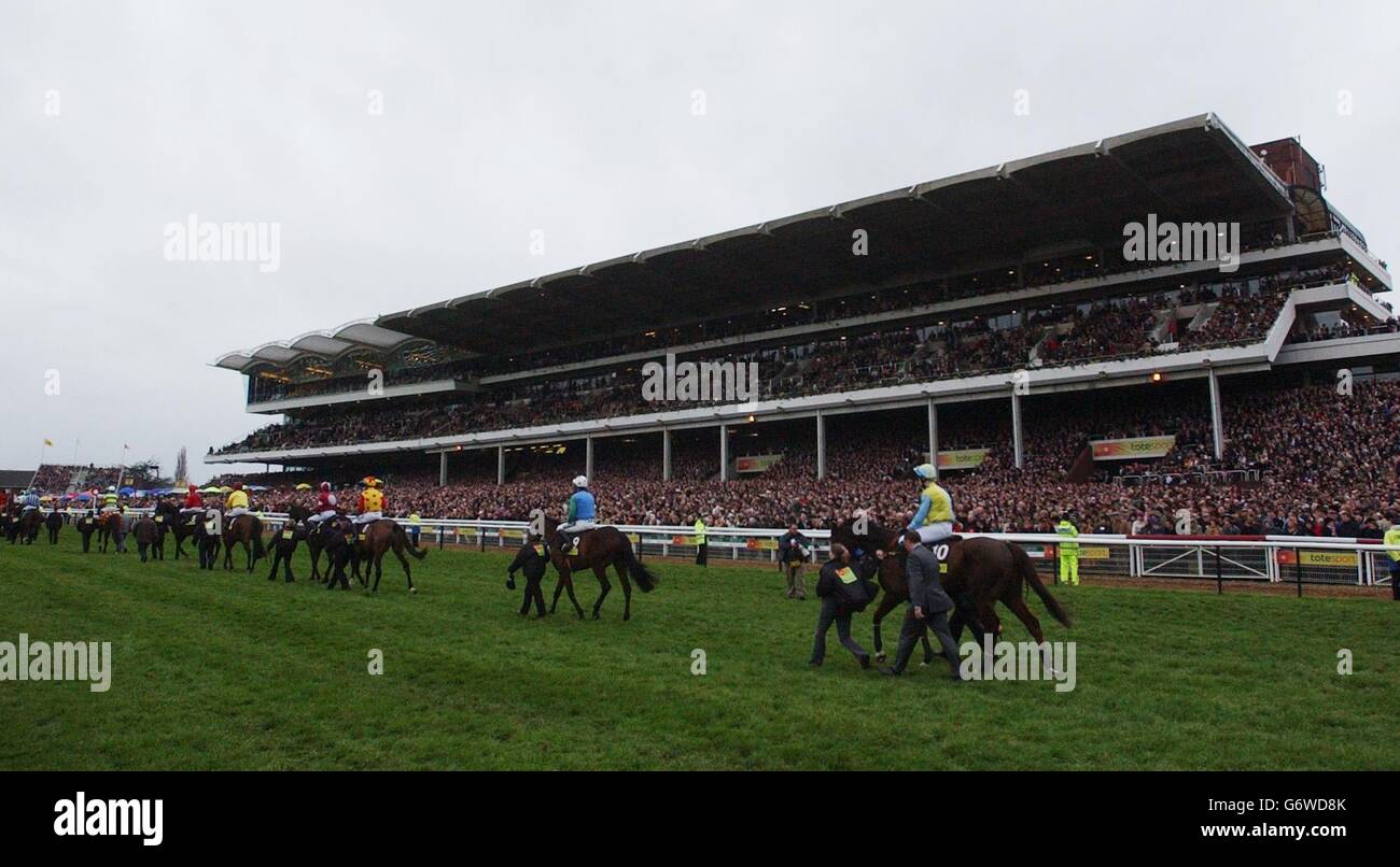 Cheltenham Gold Cup Stock Photo - Alamy