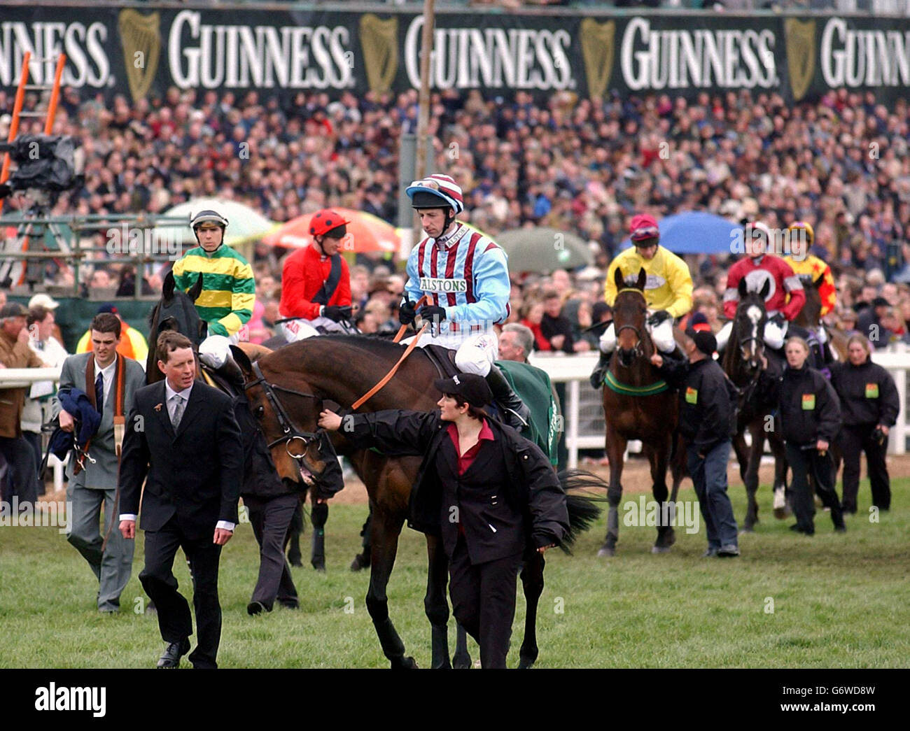 Cheltenham Gold Cup Stock Photo - Alamy