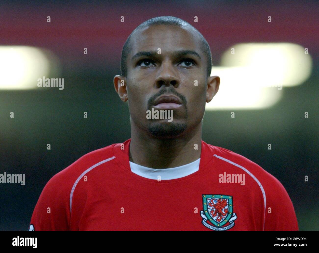 Wales International footballer Danny Gabbidon Stock Photo - Alamy
