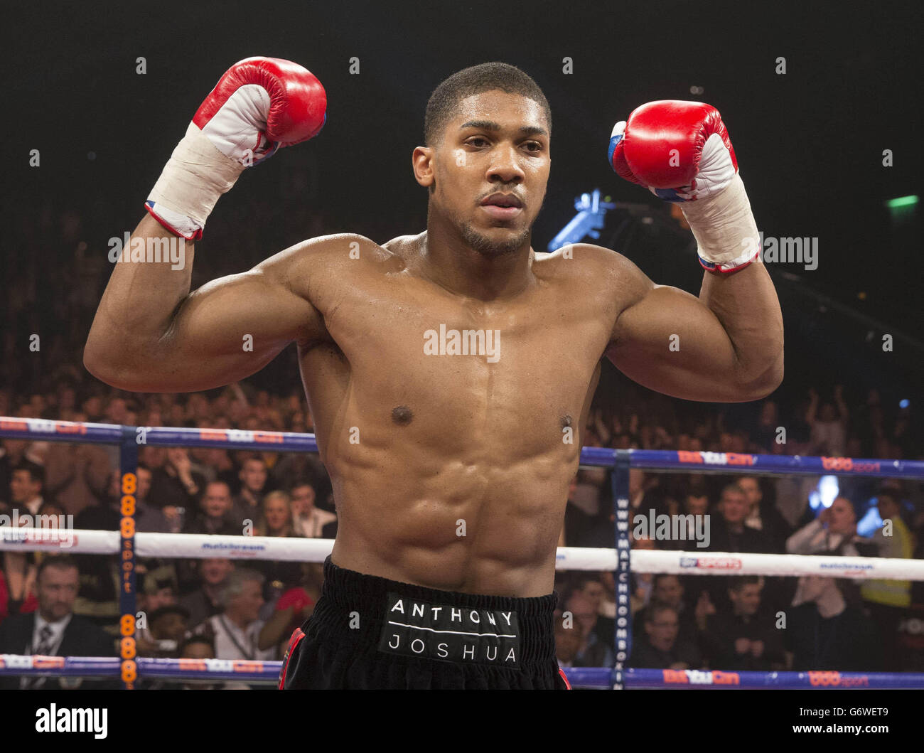 Anthony Joshua celebrates beating Hector Avila during their Heavyweight ...
